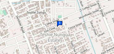 Business Focus Consult, 36 Moon Flower Street Teshie Nungua Estate ...