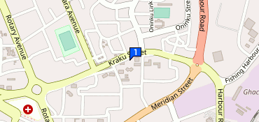 Nicholas Plaza Office Complex, Tema, phone +233 24 298 9035